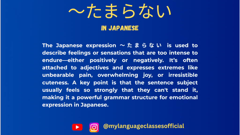Using 〜たまらない in Japanese | My Language Classes