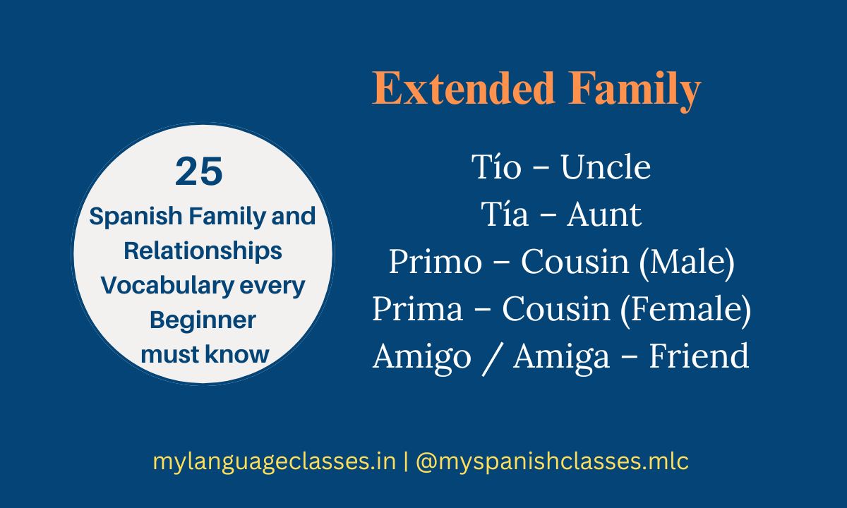 25 Spanish Family and Relationships Vocabulary for Beginners | My ...