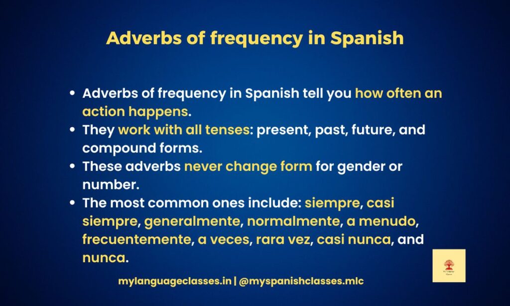 Adverbs of frequency in Spanish: Complete Guide | My Language Classes